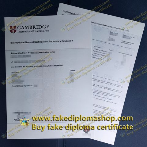 False CIE IGCSE certificate and transcript for sale