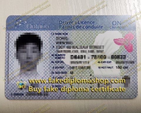 Scannable Ontario driver's licence, best permis de conduire