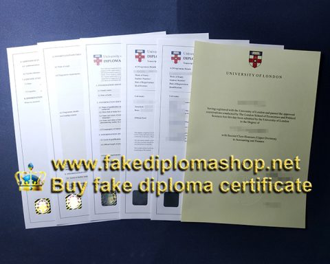 University of London diploma and transcript supplement
