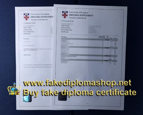 Best University of London transcript and diploma