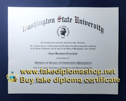 Buy Washington State University diploma with real hologram