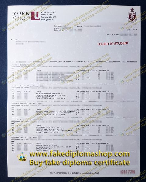 York University fake transcript, buy YU academic record