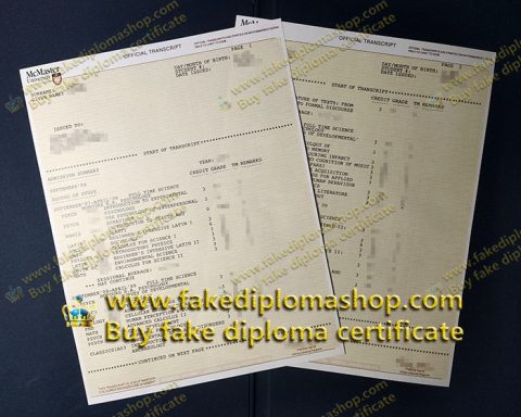 Buy the same McMaster University transcript as the official