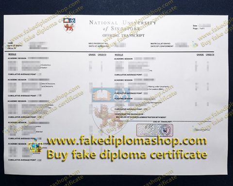 Buy a National University of Singapore transcript online