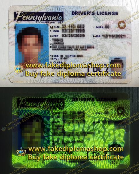 How much to buy a scannable Pennsylvania driver's license?