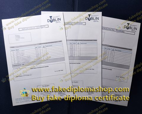 TU Dublin transcript for sale, order fake TU Dublin diploma