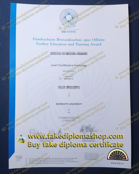 QQI AWARD Level 7 certificate of Maynooth University online