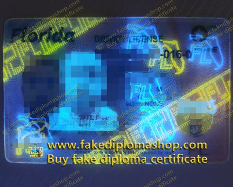 Where to buy a Florida Safe Driver License online?