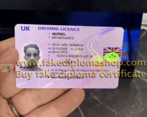 The difference between the new UK driving license and the old one?
