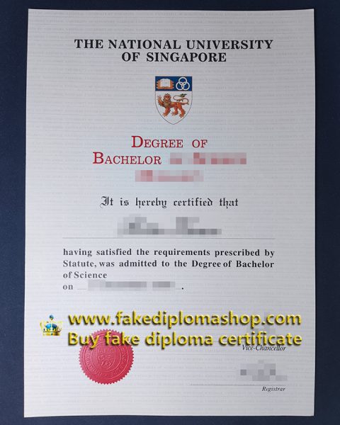 Old edition NUS diploma, buy a Singapore University degree