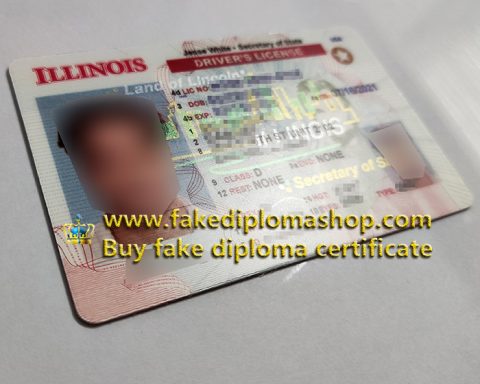 Can I buy an Illinois Driver's License to drive in the USA?
