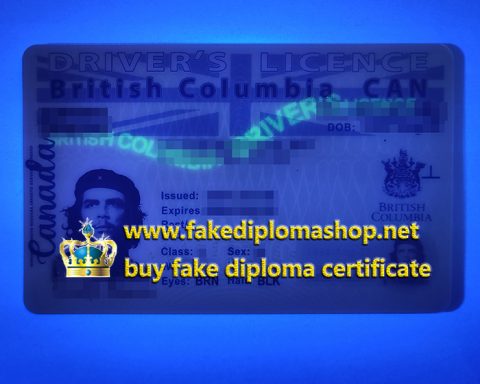 Get British Columbia Driver's Licence in Canada