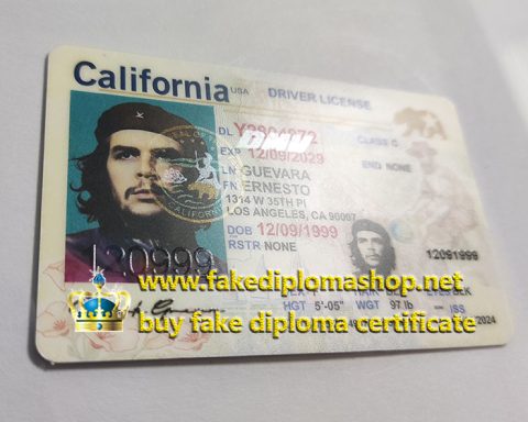 Customization realistic California ID card, Buy fake Driver’s License