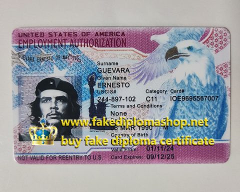 Buy a realistic USA Employment Authorization card, EAD card